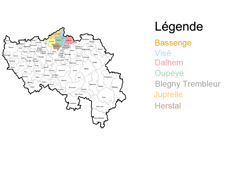 L'oie de Basse-Meuse