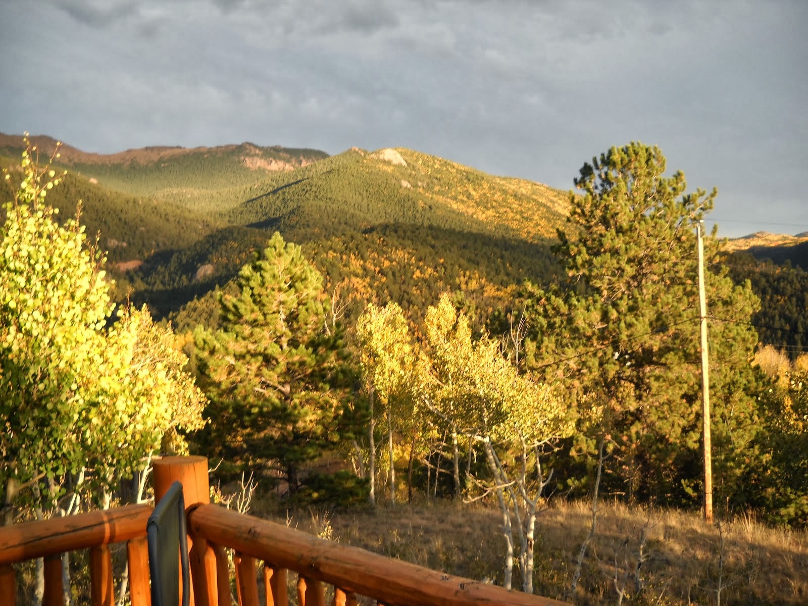 log-home-for-sale-288-500
