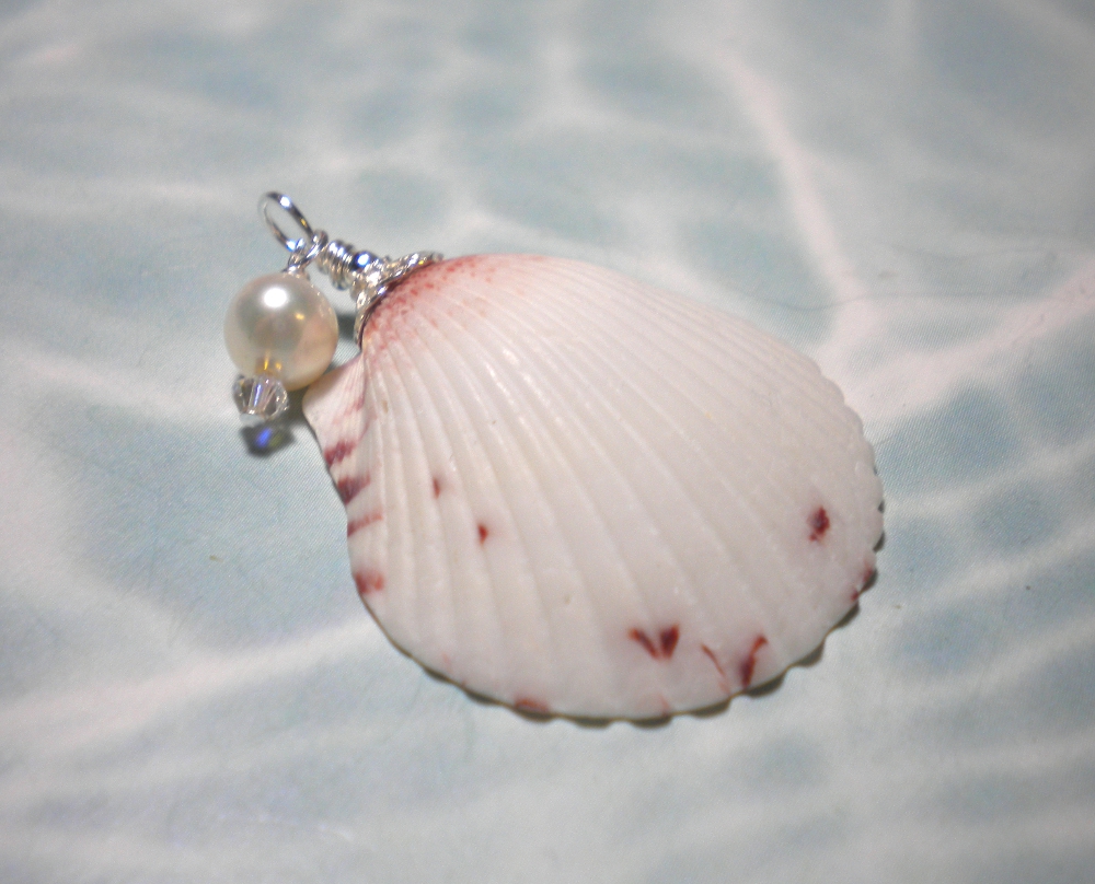 Del's Shells: Seashell Jewelry