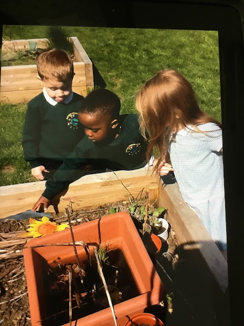 Suttons Primary School: Spring walk - Nursery