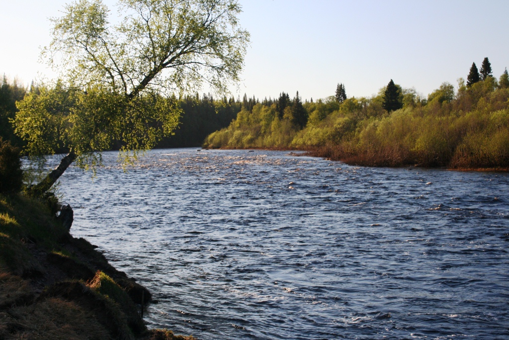 Roxtons Varzuga Blog: 2015-05-31