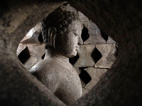 CEREBRAL BOINKFEST: 1/29/12 - 2/5/12