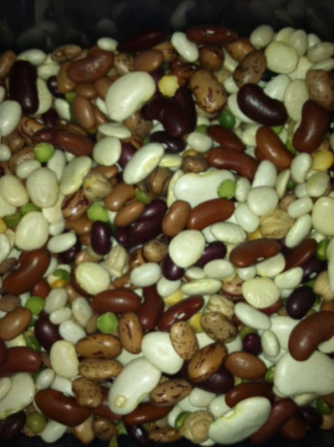 The Incredible Shrinking Me!