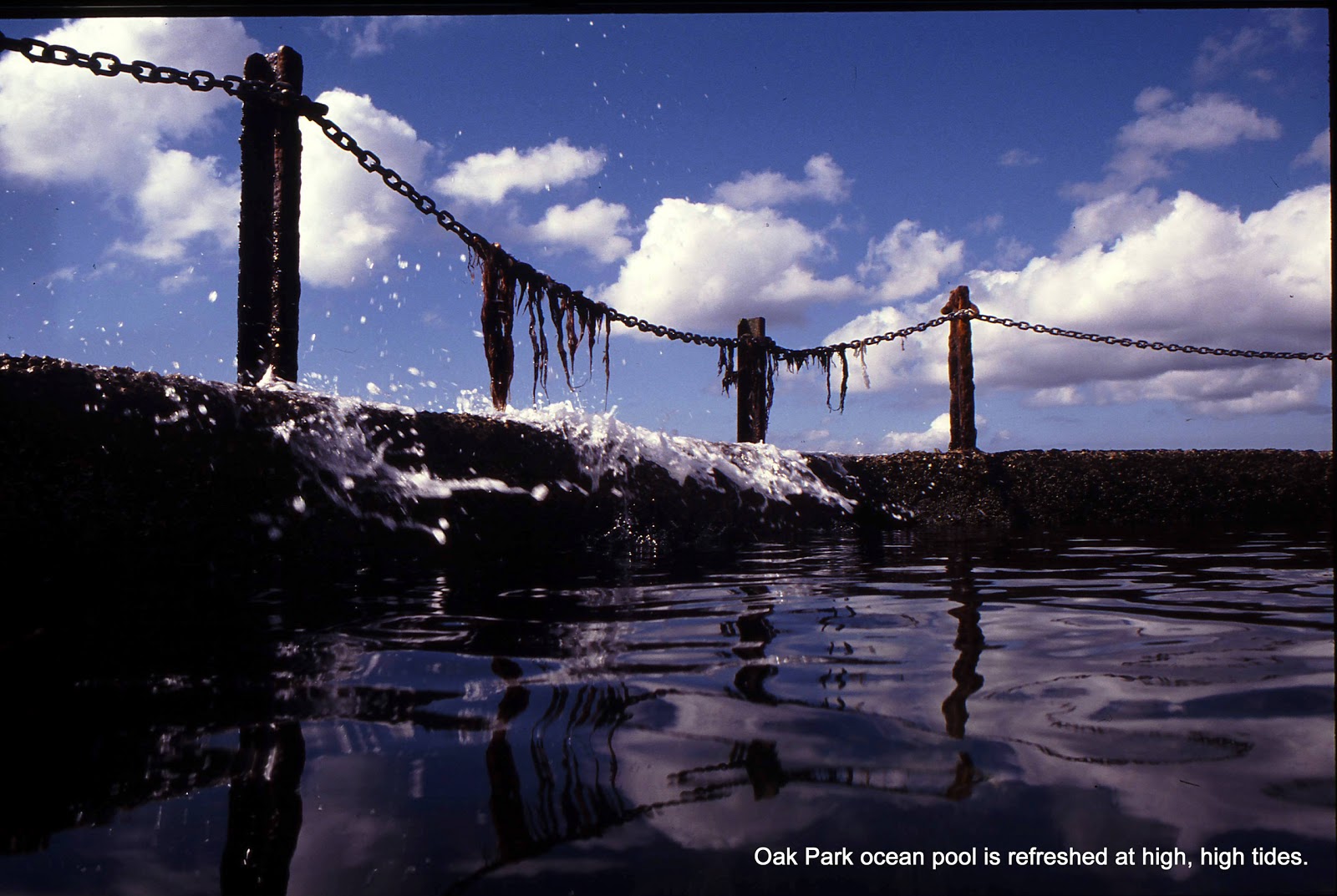 In Memory of Don Harding | Photos and memories of Don Harding and family