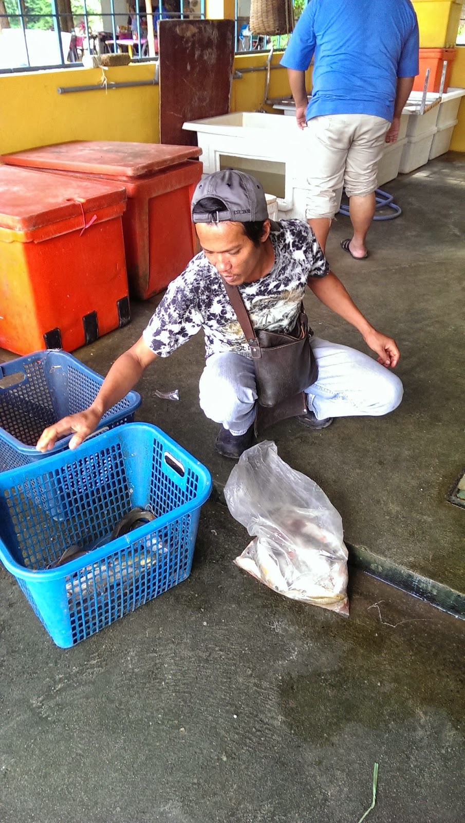 Ride to Pedu Lake, Muda Lake, Beris Lake, Temenggor Lake & Stong State ...