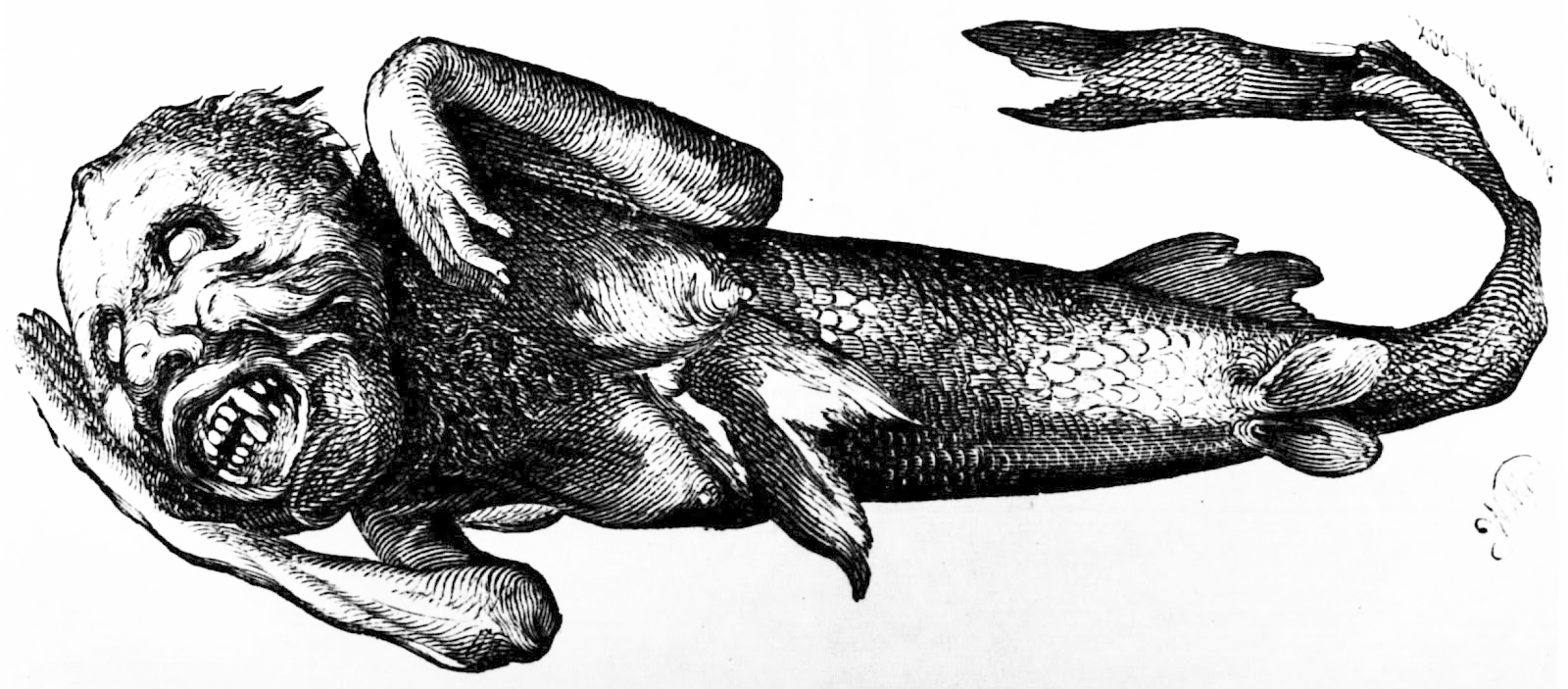 Wunderkabinett: The Amazing Feejee Mermaid