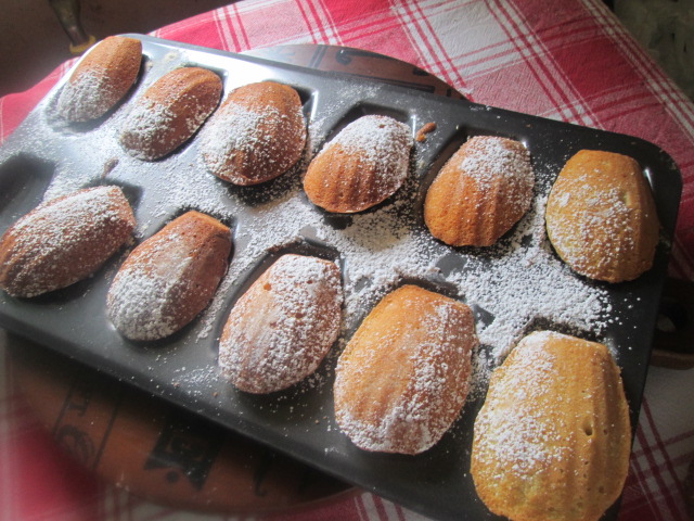Canela kitchen (gloria): French madeleines (Magdalenas)