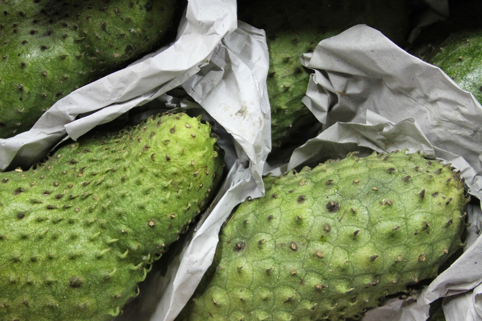 Graviola, a fruta com diferentes nomes e um sabor