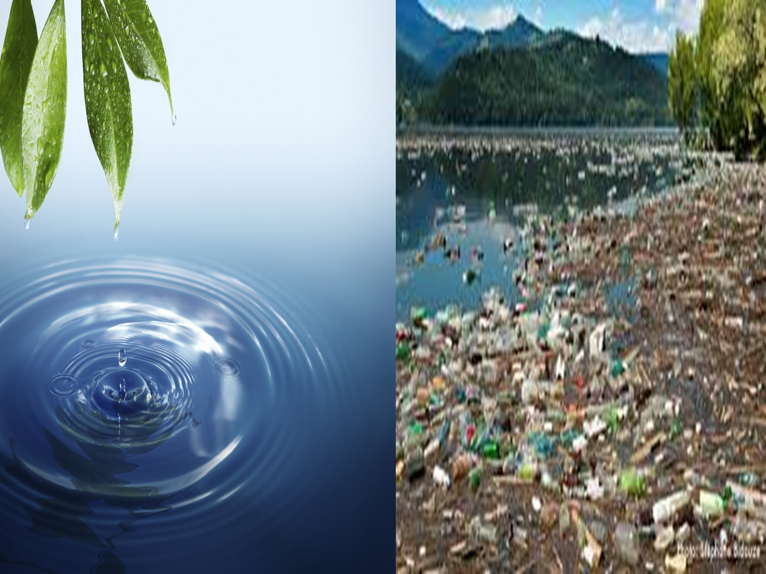 जल प्रदूषण माहिती, निष्कर्ष, उद्दिष्टे, समस्या व उपाय - प्रसिध्द मराठी