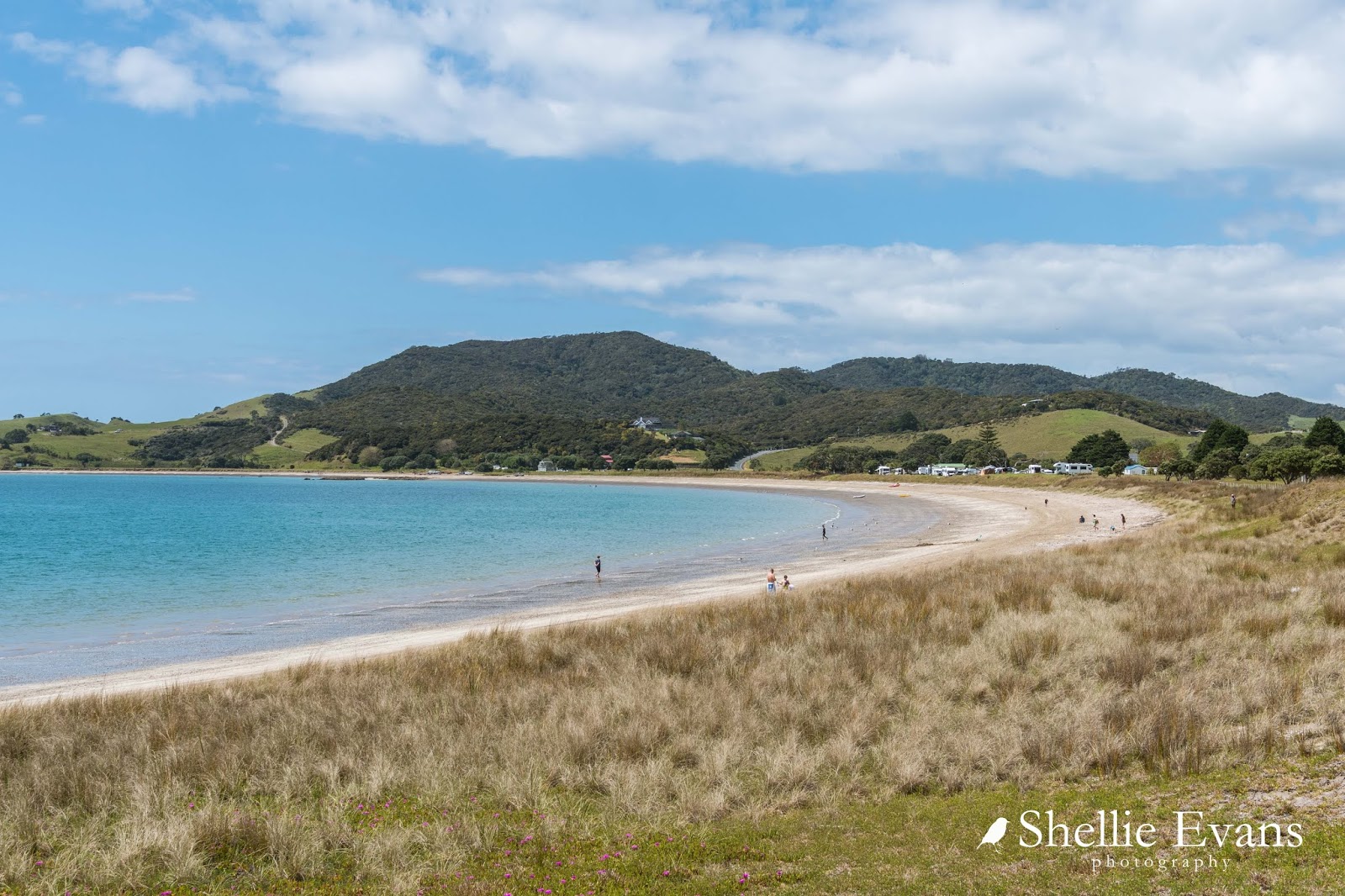 Two Go Tiki Touring: Perfect Puriri Bay- Part 1