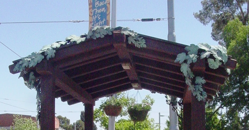 Tucson Daily Photo ~: Beautiful Bus Stop