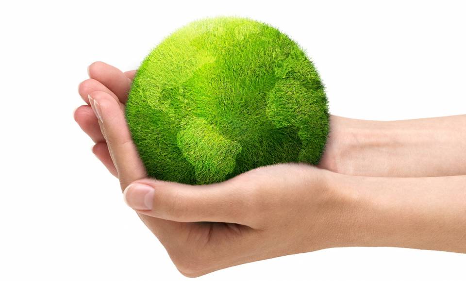 ¿QUE ES ES PRESERVACIÓN?