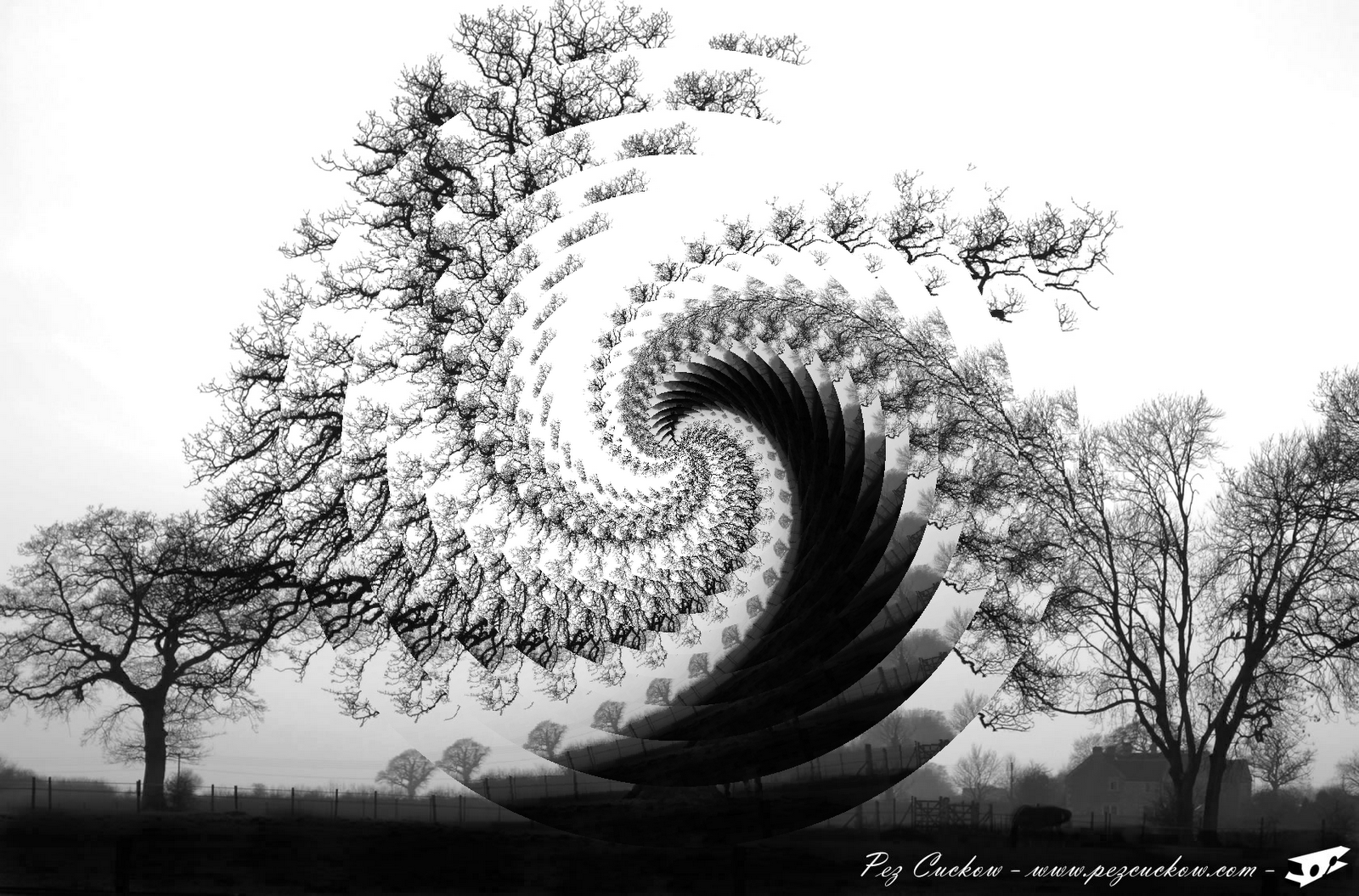kindofdoon: The Blog of Daniel W. Dichter: The Fibonacci Vortex