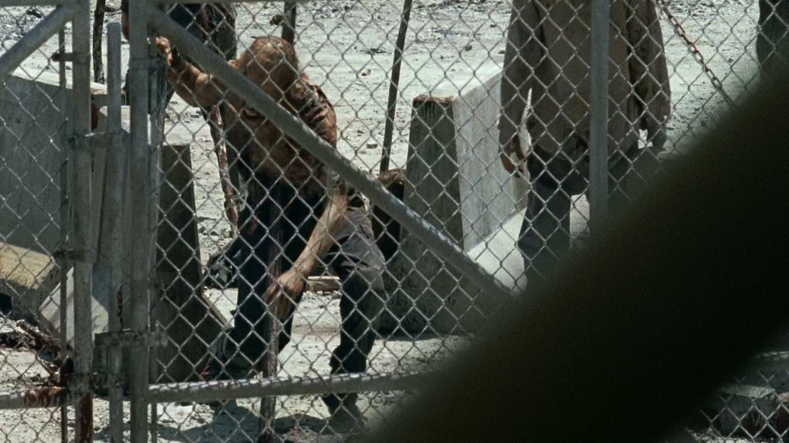 LM Reviews The Walking Dead