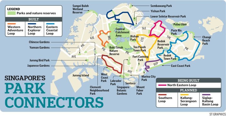 Bedok Tampines PCN - Too Many Pace Disruptive Traffic Junctions!