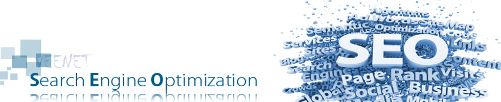 veenet technological service: OUR SERVICE