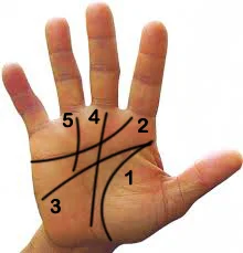 5 Important Lines In Hand Palmistry ~ INDIAN PALMISTRY | PALM READING ...