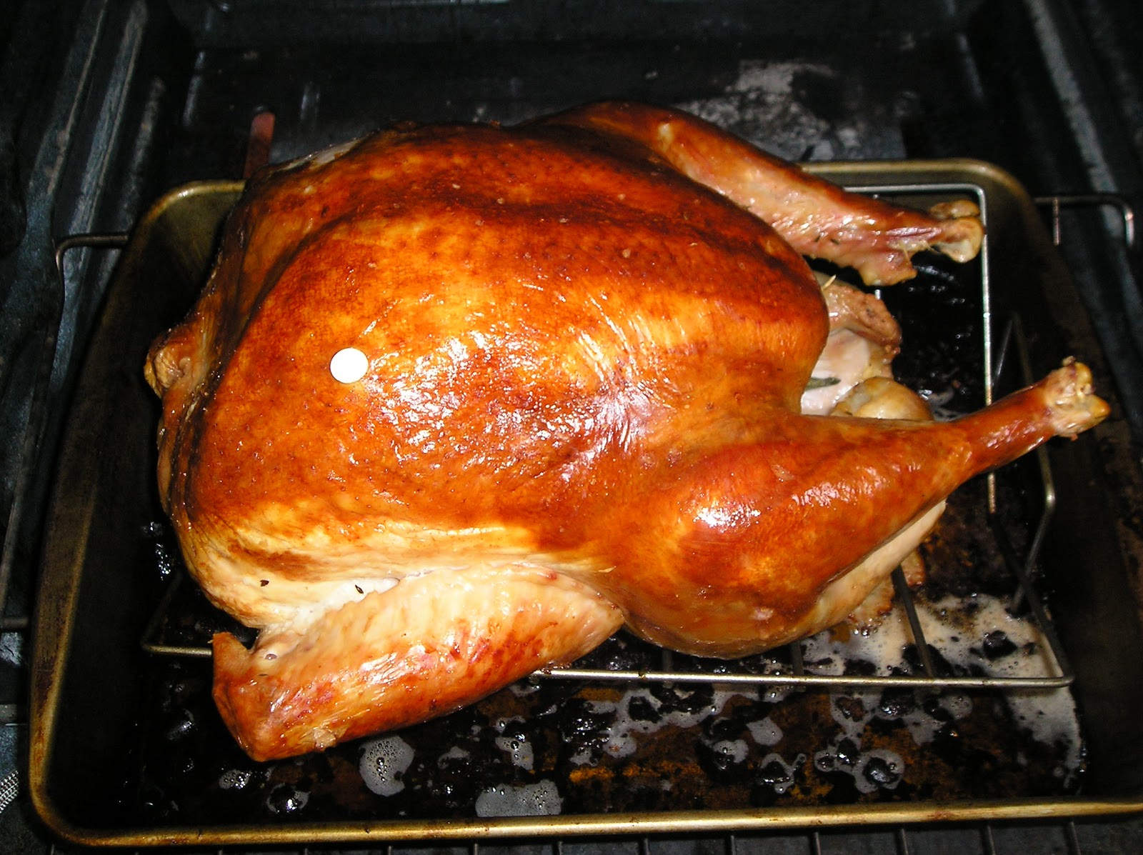 Cheesecloth Turkey ~ Edesia's Notebook