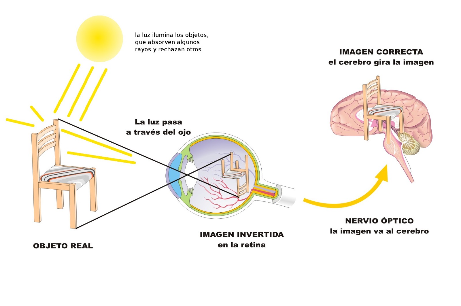 3º ESO CARANDE: enero 2016