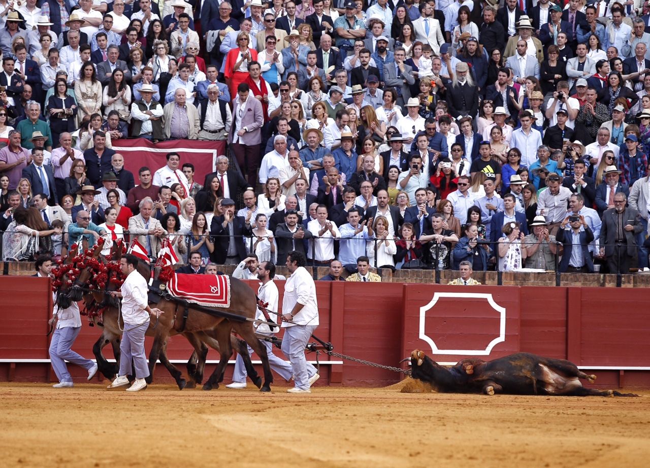 Gelán Noticias: TOROS EN LA REAL MAESTRANZA DE SEVILLA.- Andrés Roca ...