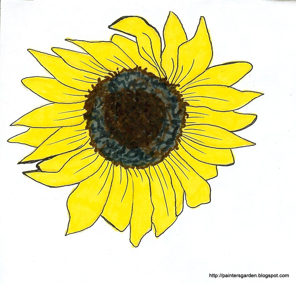 Paintersgarden: Drawing sunflowers in marker