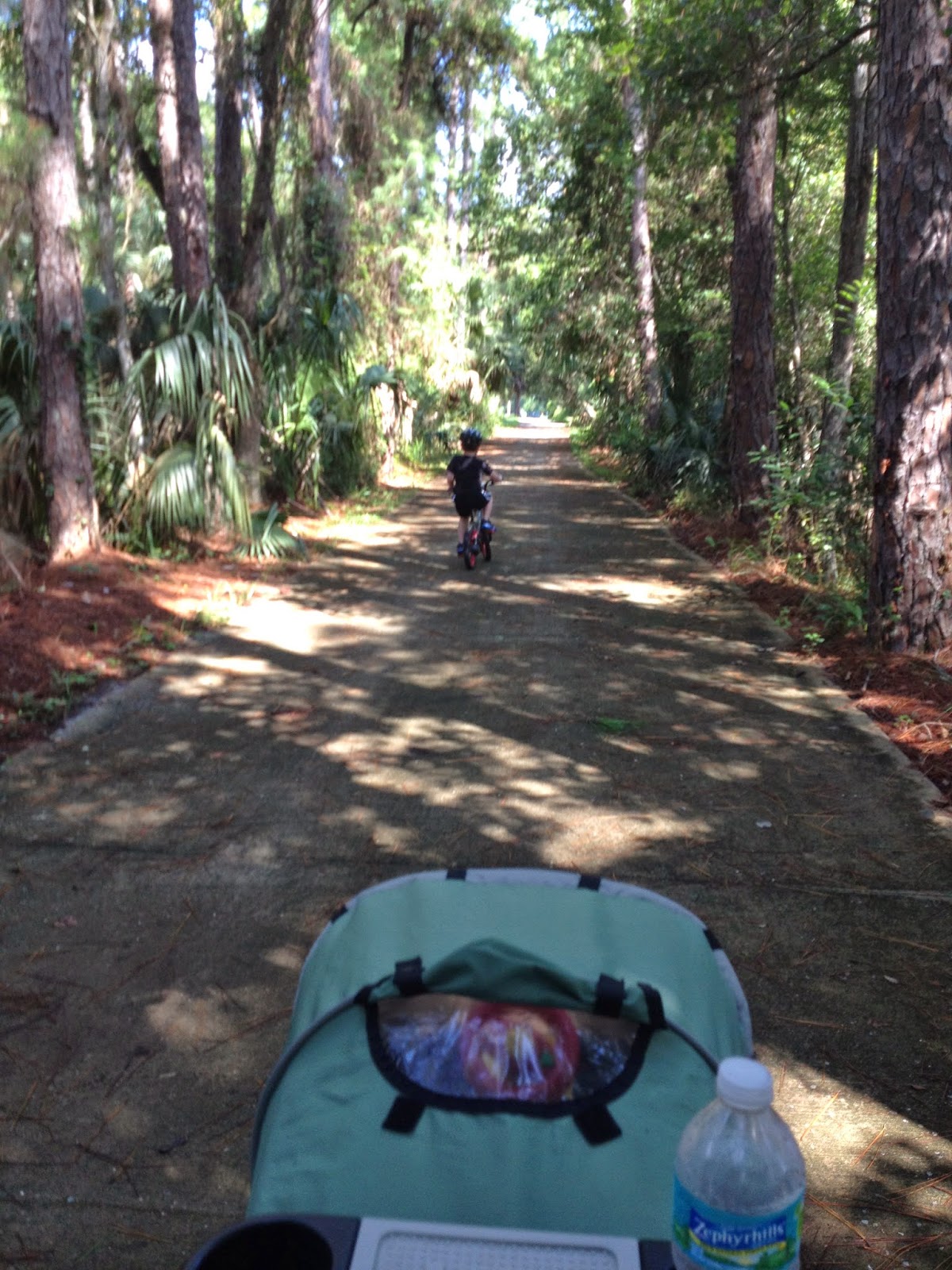 July...dun, dun, dunnnn! - Creating the Life