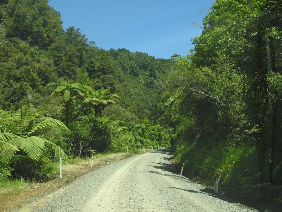 photographing New Zealand: State highway 43