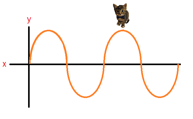 Physics, explained by cats: Phase and Coherence...and a seasick cat.