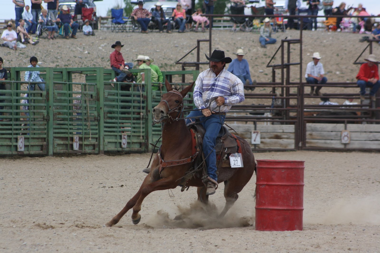 PairADice Mules: Barrel Racing at Jake Clark Mule Days