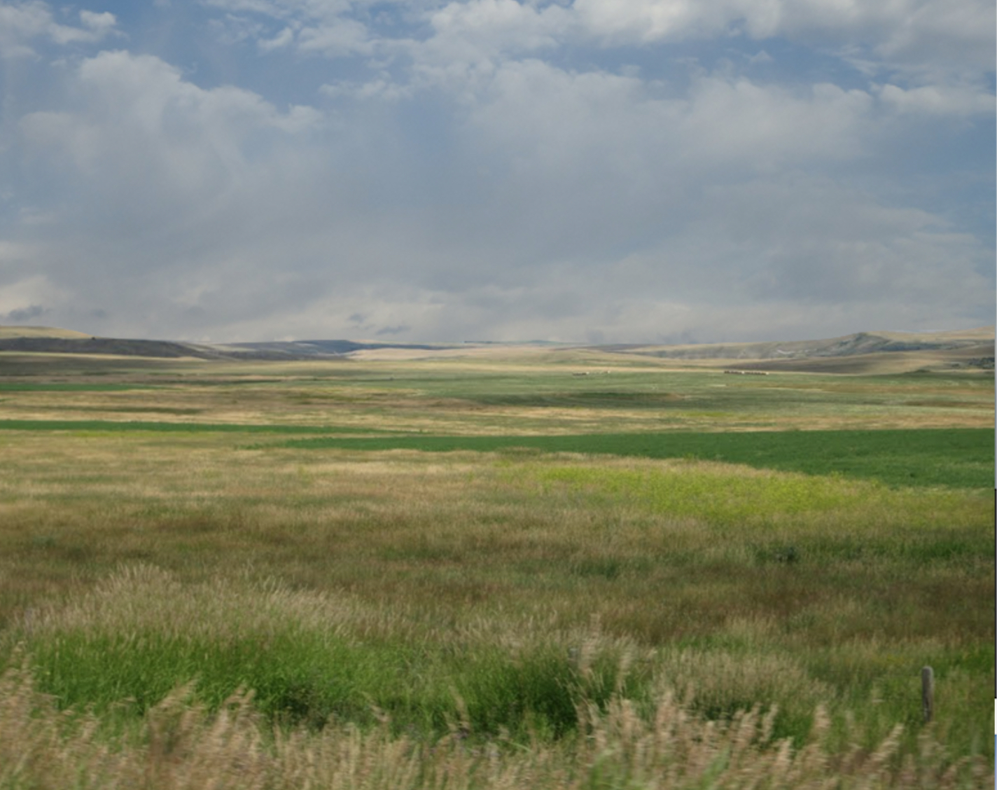 NephiCode: November 2017