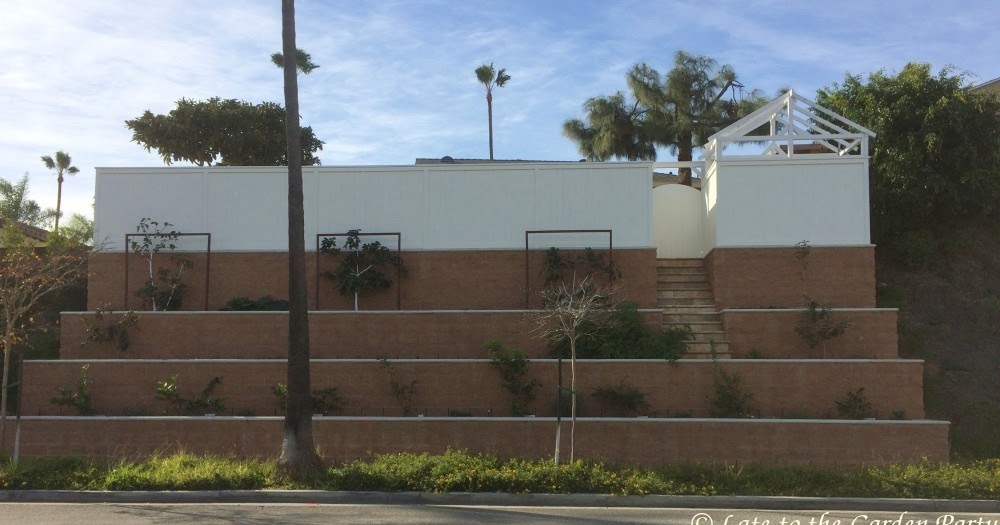 Late to the Garden Party: Terracing a steep slope