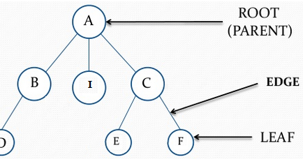 Technology Blog : Trees : non linear data structure: Basic Terminology ...