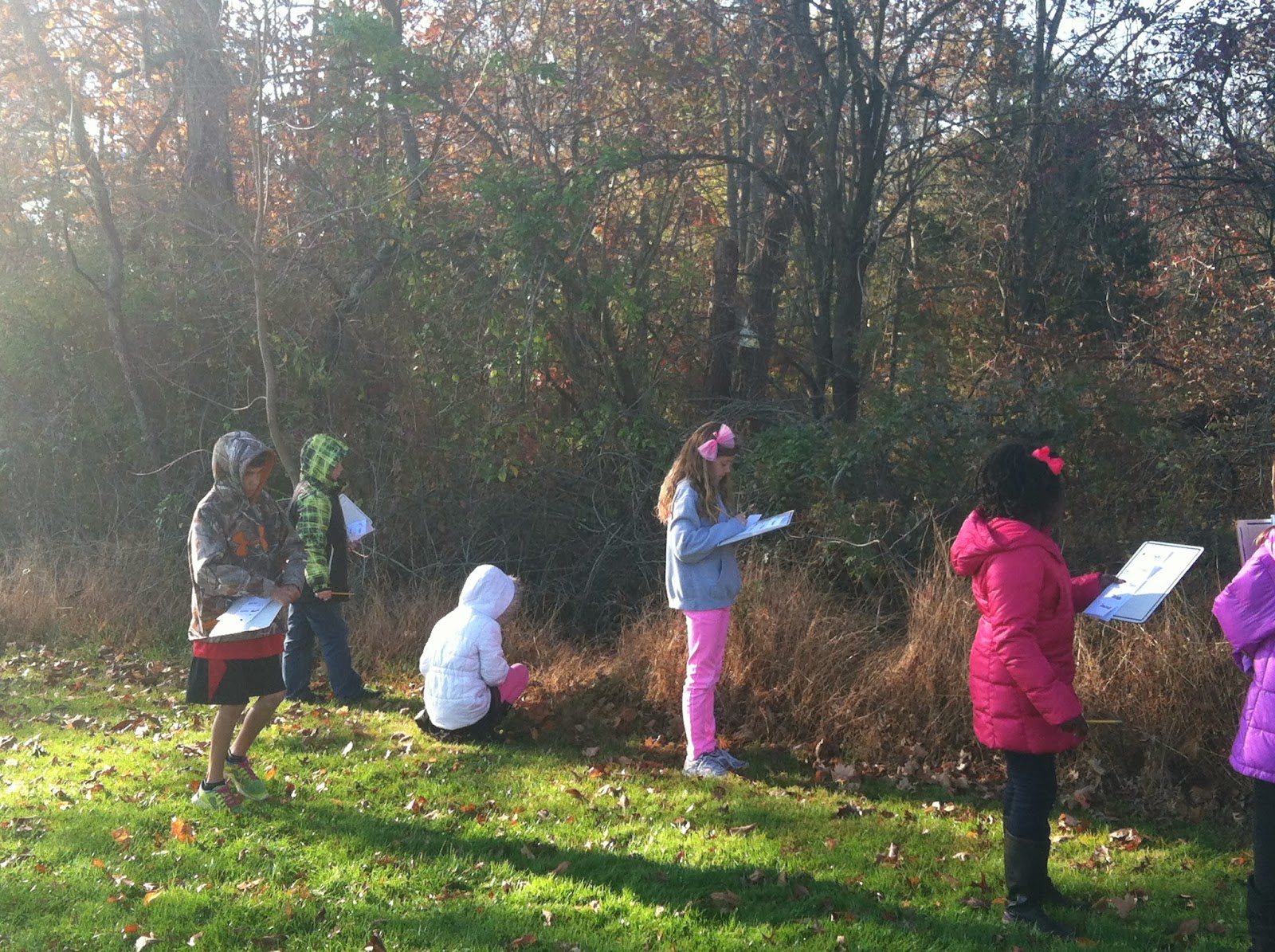 Hunter's Tales from Teaching : Spark Student Motivation-Fall Walk and ...