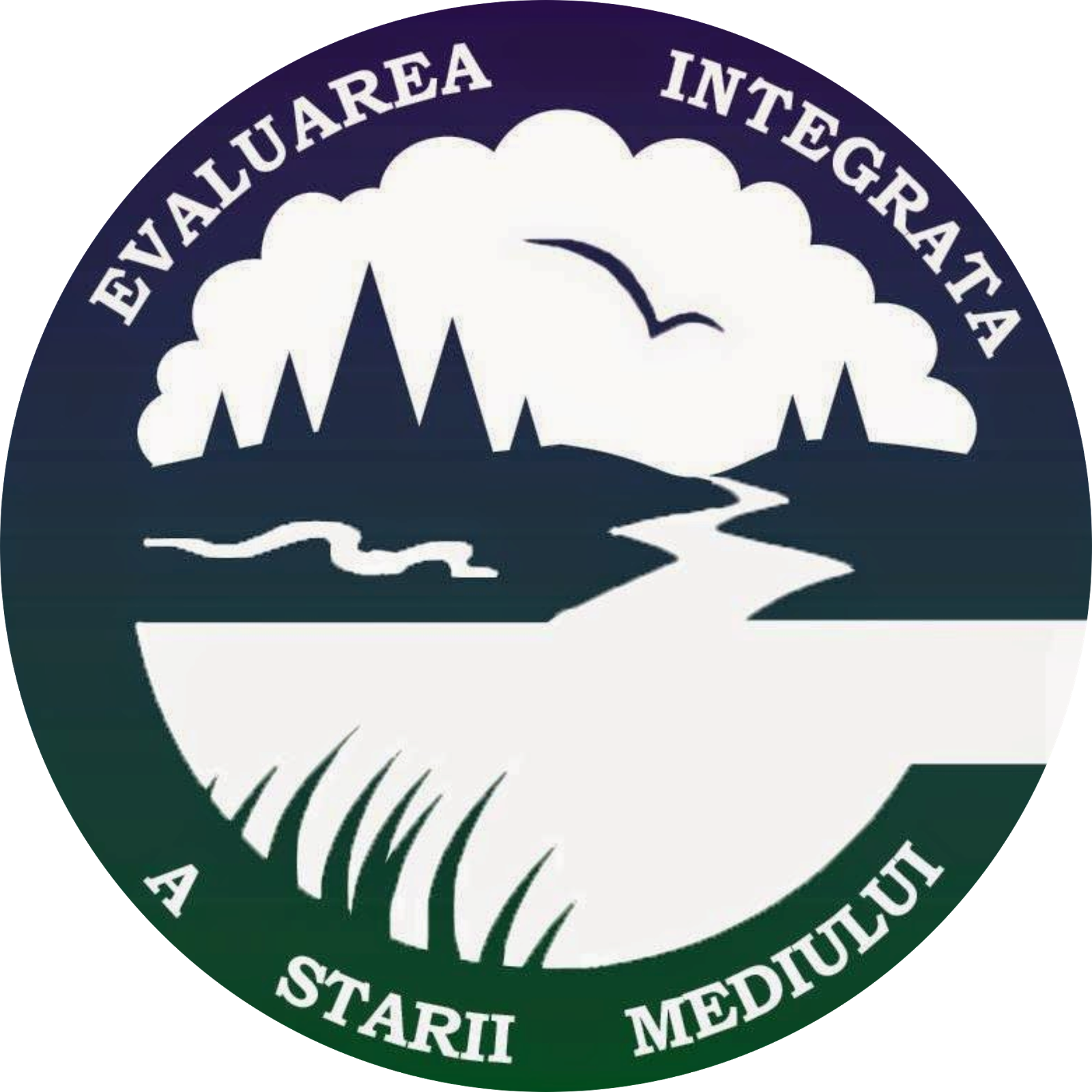 Infinite possibilities: Logo - Master Evaluarea Integrata a Starii Mediului