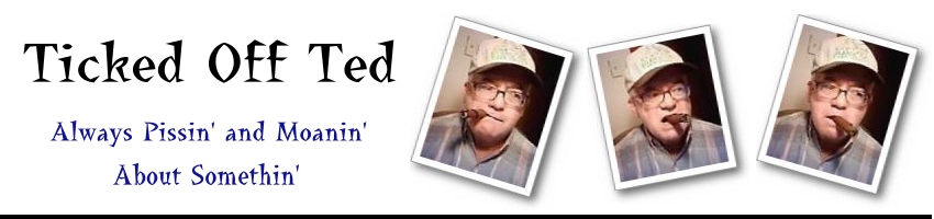 Ticked Off Ted