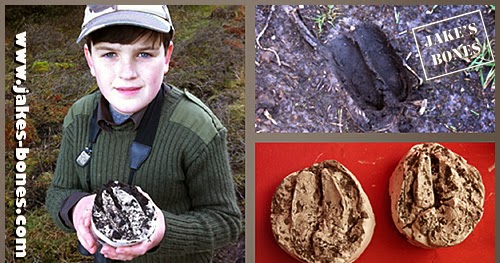 My first attempt at making footprint casts : Jake's Bones