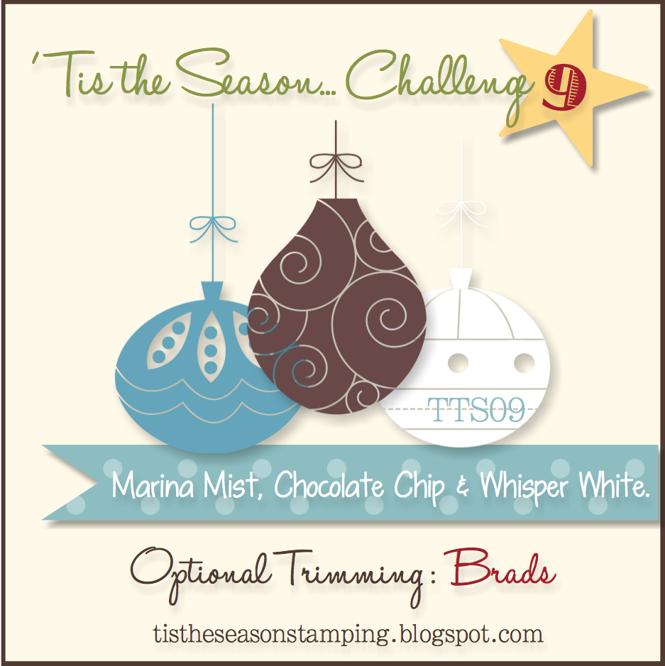 funkyj creations: Baja Snowflake