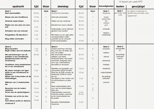 Polar: werkproces 1.2, Plan van aanpak