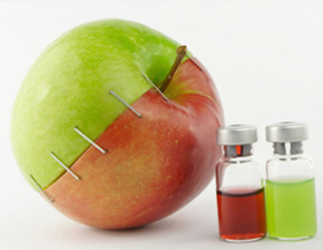 SALUD Y NUTRICIÓN: ¿QUÉ SON LOS PRODUCTOS Y ANIMALES TRANSGÉNICOS?