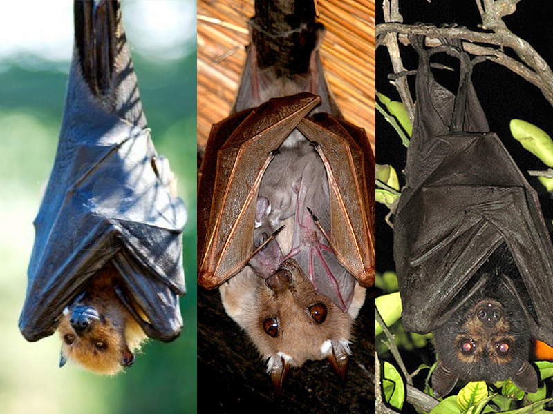 SeanLow: September 2012