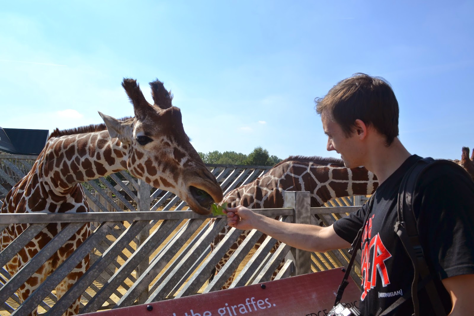 Colchester Zoo Day Out! | UK Lifestyle and Beauty Blog