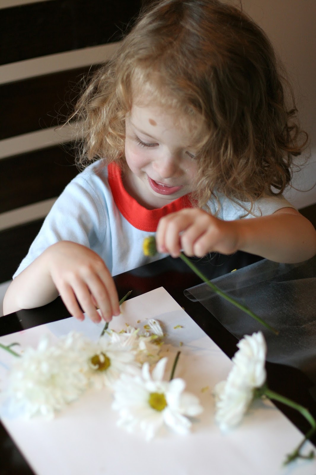 Flower Science Experiment for Kids: DIY Glowing Flowers