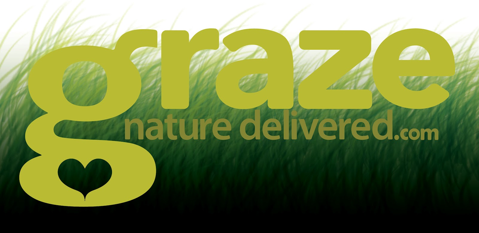 YCN: Graze