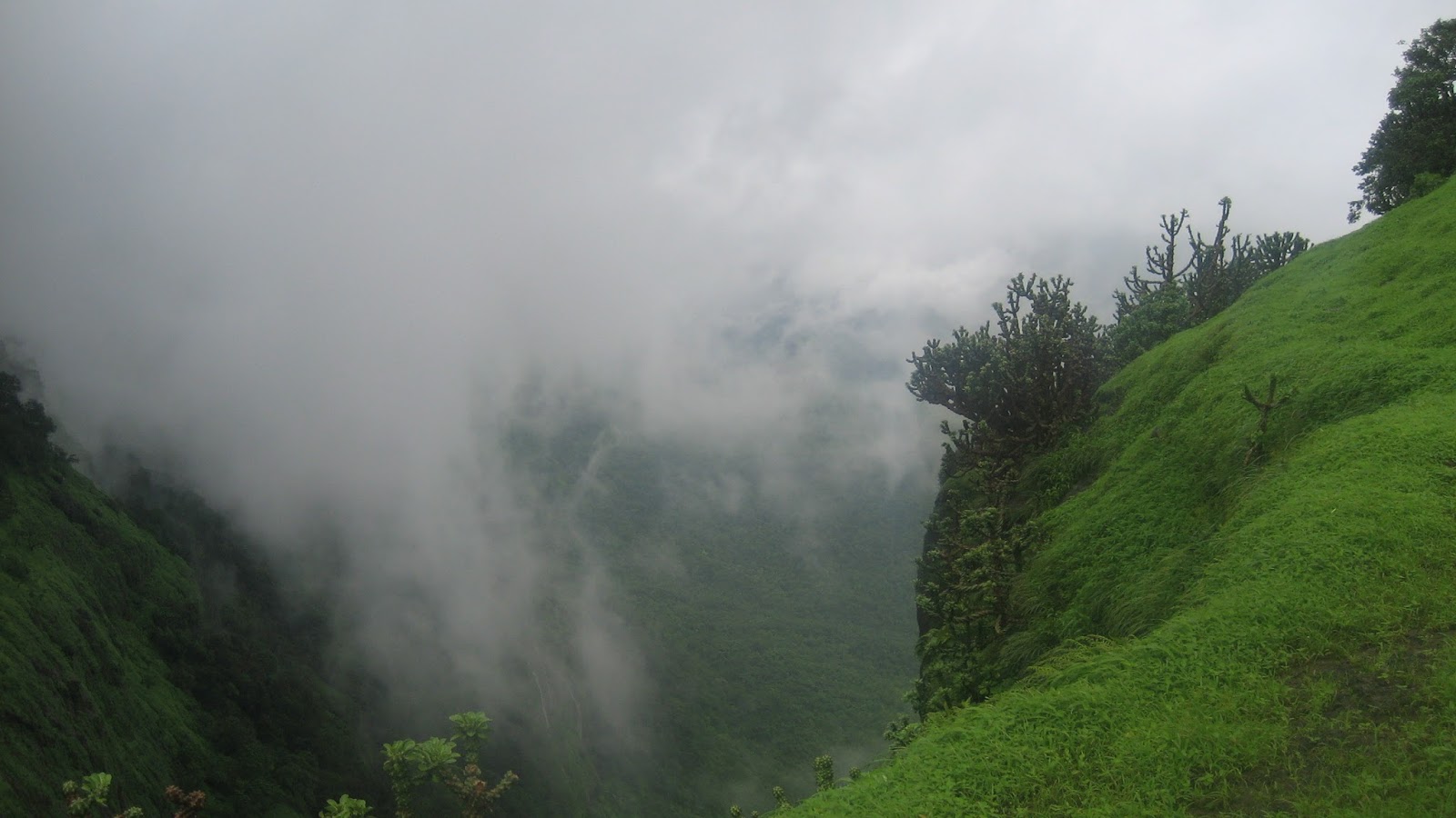 On the Edge of Sahyadris: Ahupe Ghat: A memorable walk through heaven