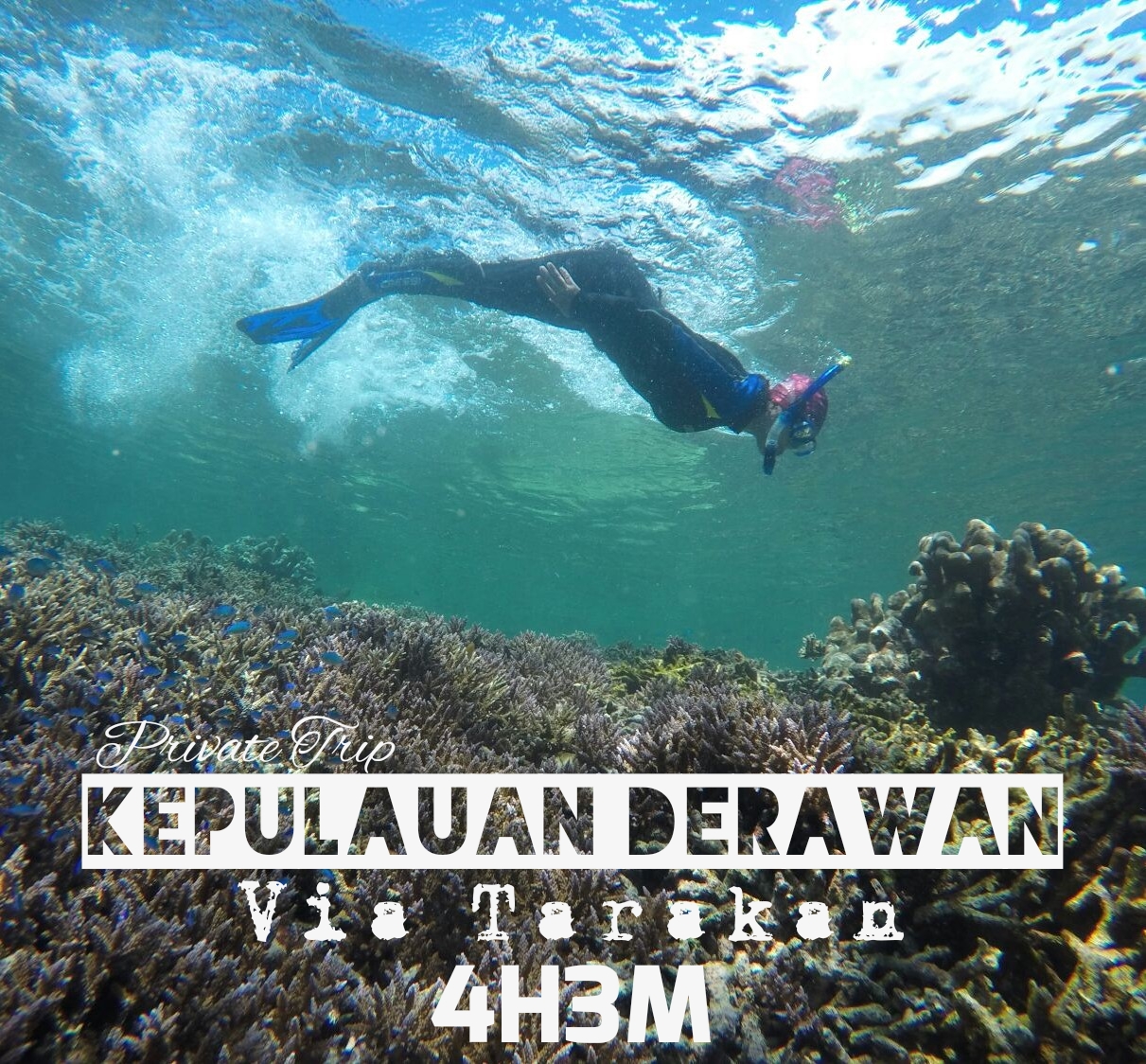 Private Trip Kepulauan Derawan via Tarakan 4H3M - Info dan Paket Tour ...