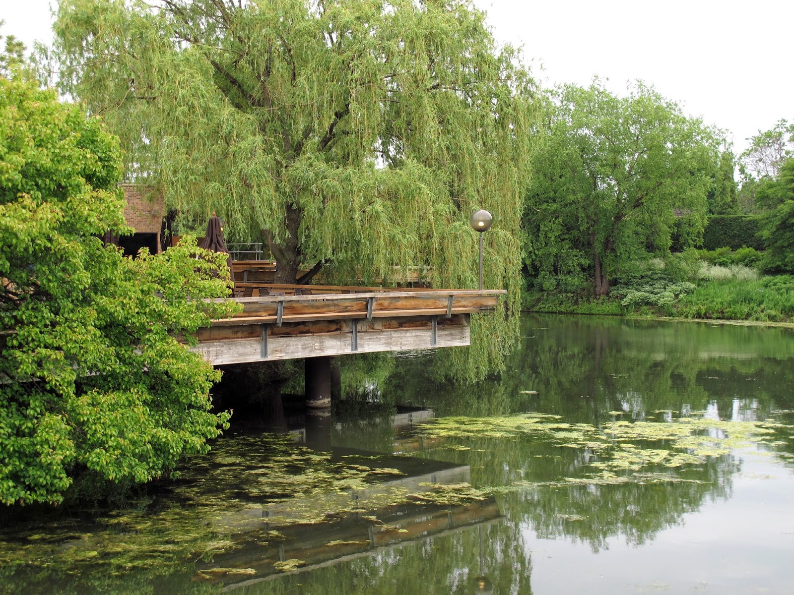 En el jardin: Jardín Botánico de Chicago: vale la pena.