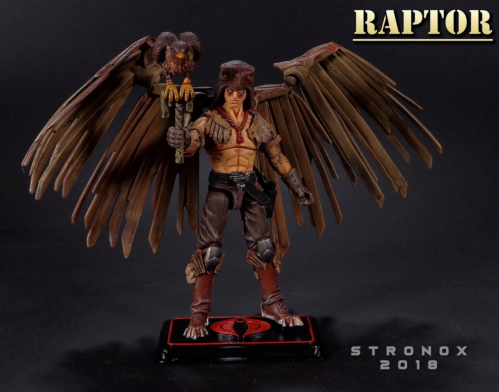 Stronox Custom Figures: GI Joe: Raptor
