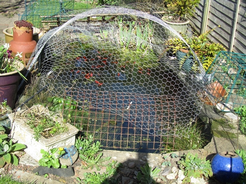 Great Grandma's Hotchpotch: MISH MASH