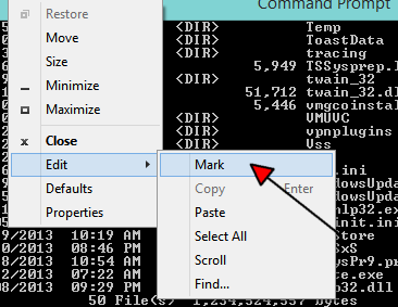 How to Copy/Paste from a Command Prompt (DOS / CMD) Window