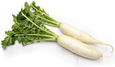 Lobak | Supplier sayur dan buah surabaya